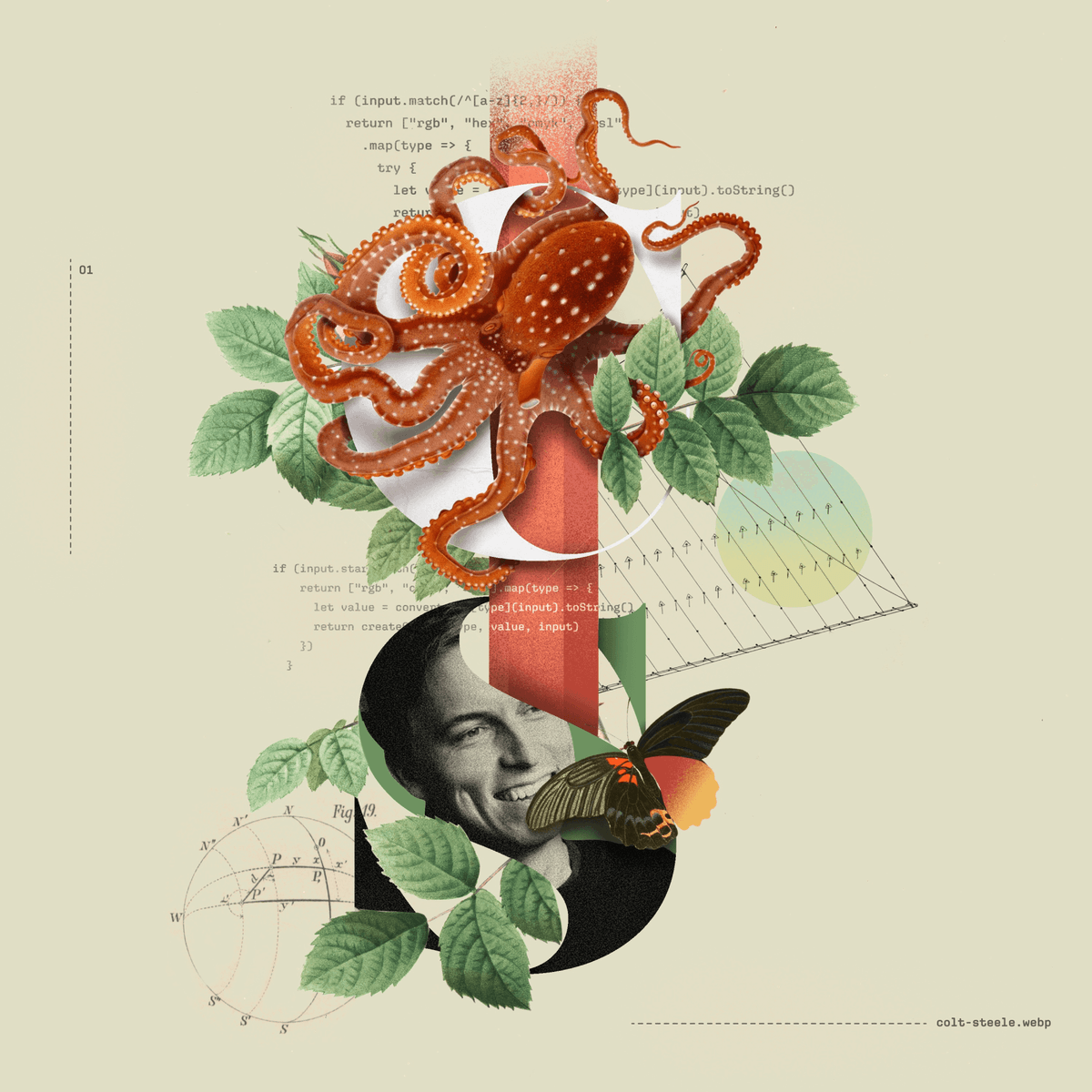 Colt Steele | Colt Steele